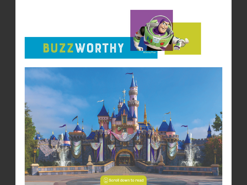 Winter 2022 • Volume 31 • Number 4Buzz Worthy